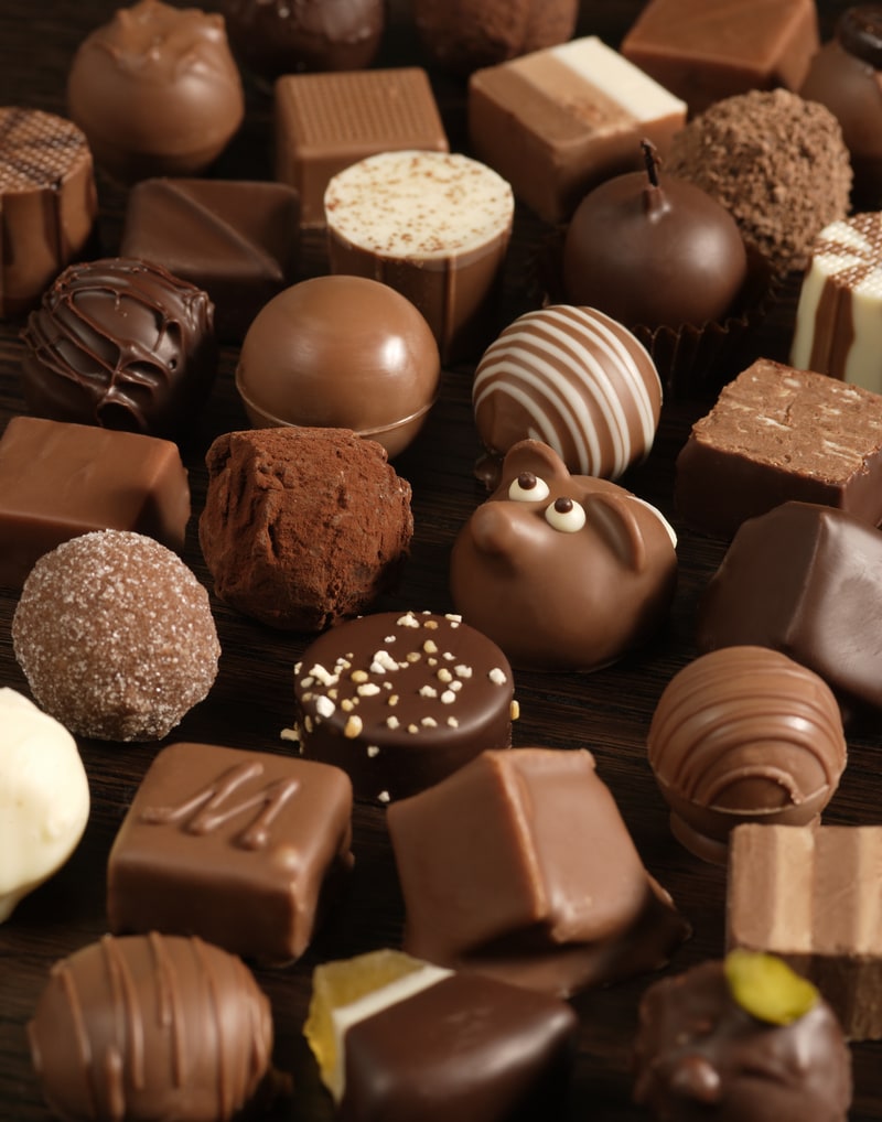 SKF Seals: A sweet success in chocolate production | SKF