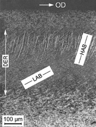 What causes white etching cracks to develop? | SKF