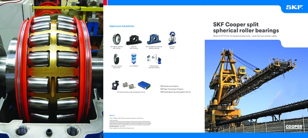 SKF