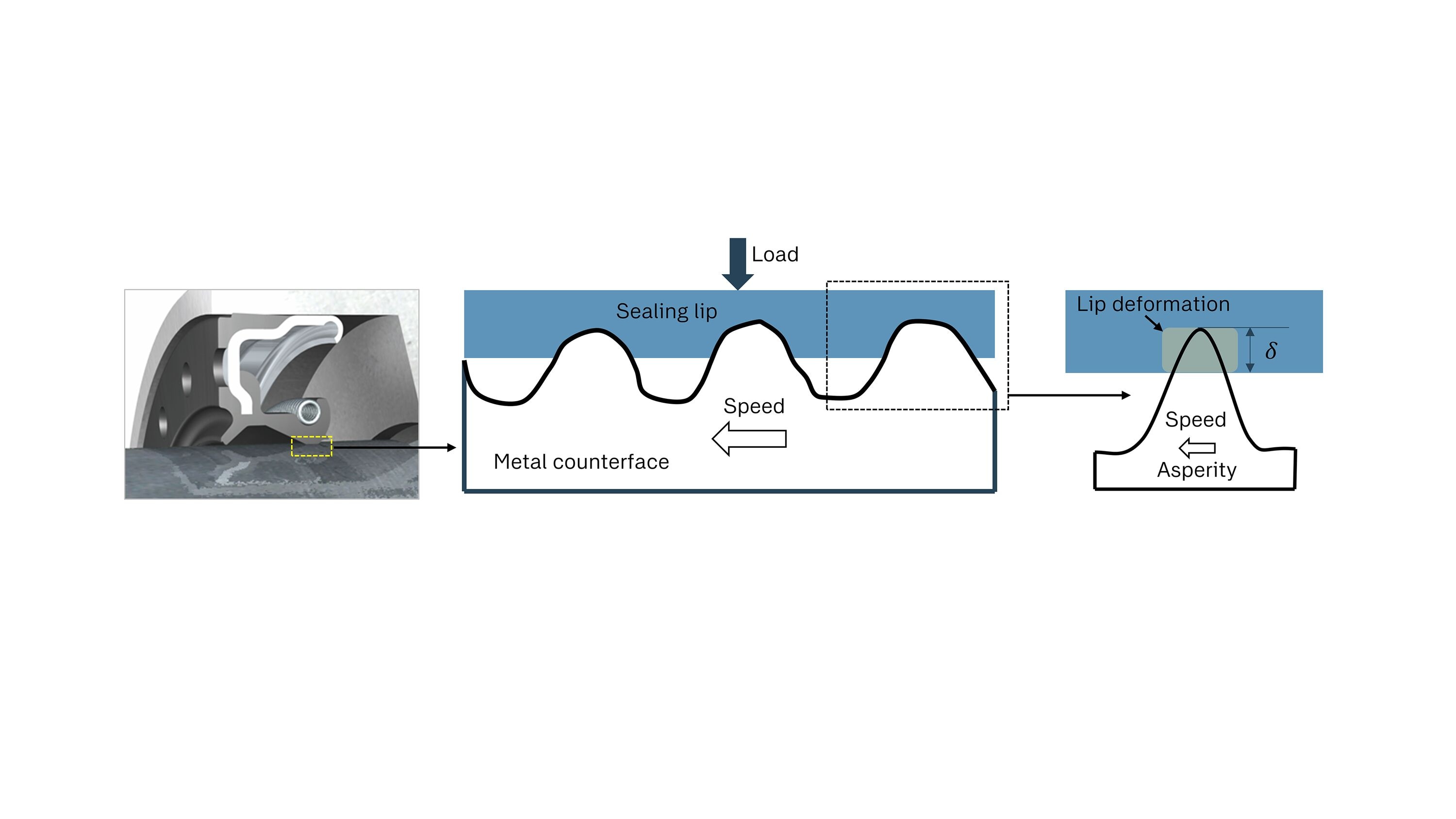 Enabling Low-Friction, Long-Life Seals with Multi-Scale Modelling | SKF