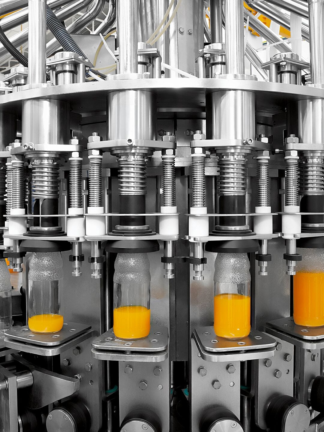 Food Processing Technology Experts - SKF | SKF