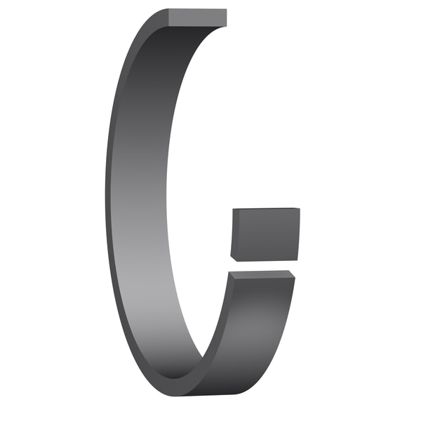 WGT125-8750-2000-E8D - Vòng dẫn hướng | SKF